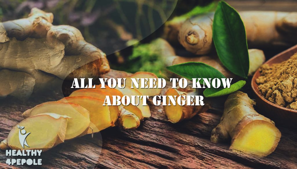 All you need to know about ginger – Healthy4Pepole